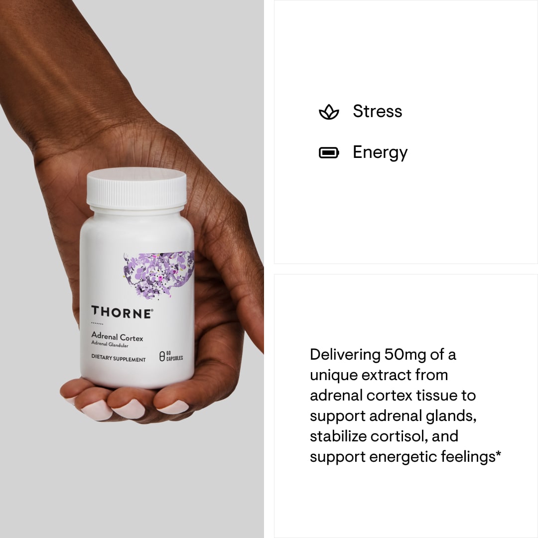 Thorne - Adrenal Cortex - 60 Capsules – www.ohhmygoodness.com
