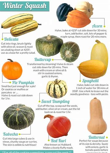 Squash - Strawberry Crown - Get Great Value, Give to your Worthy Cause ...